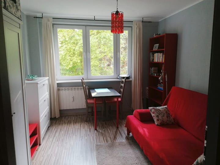 Sunny Lovely Apartment Near Chopin Airport Wifi Tv - Warschau