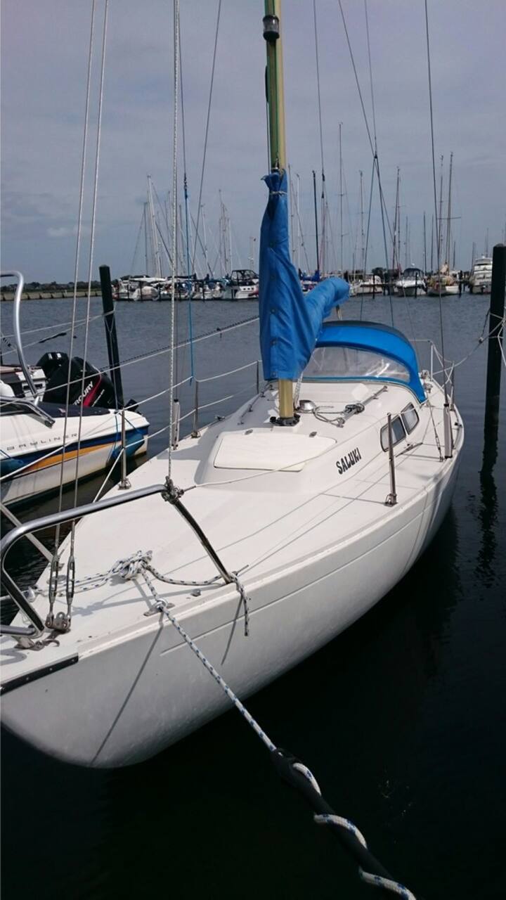 Skandinavische Segelyacht "Saluki" - Fehmarn