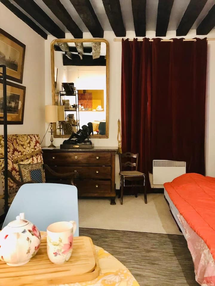Cosy Studio Dans Le Quartier Latin Paris - Parigi