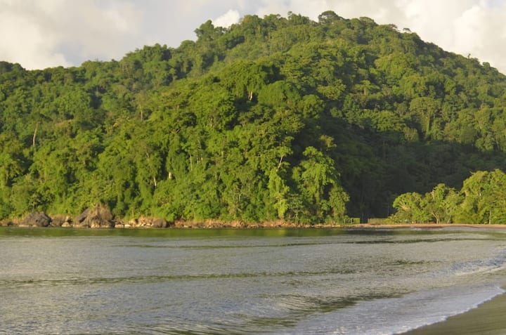 Top 7 Beach Houses In Toco, Trinidad and Tobago - Updated 2025 | Trip101