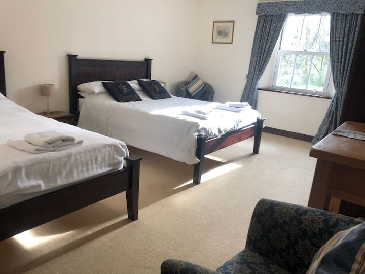 Family Room With  A Double And Single Bed - Holsworthy
