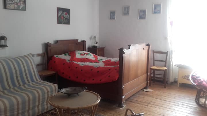 Chambre De 25 M² En Centre Ville Avec Jardin - Plérin