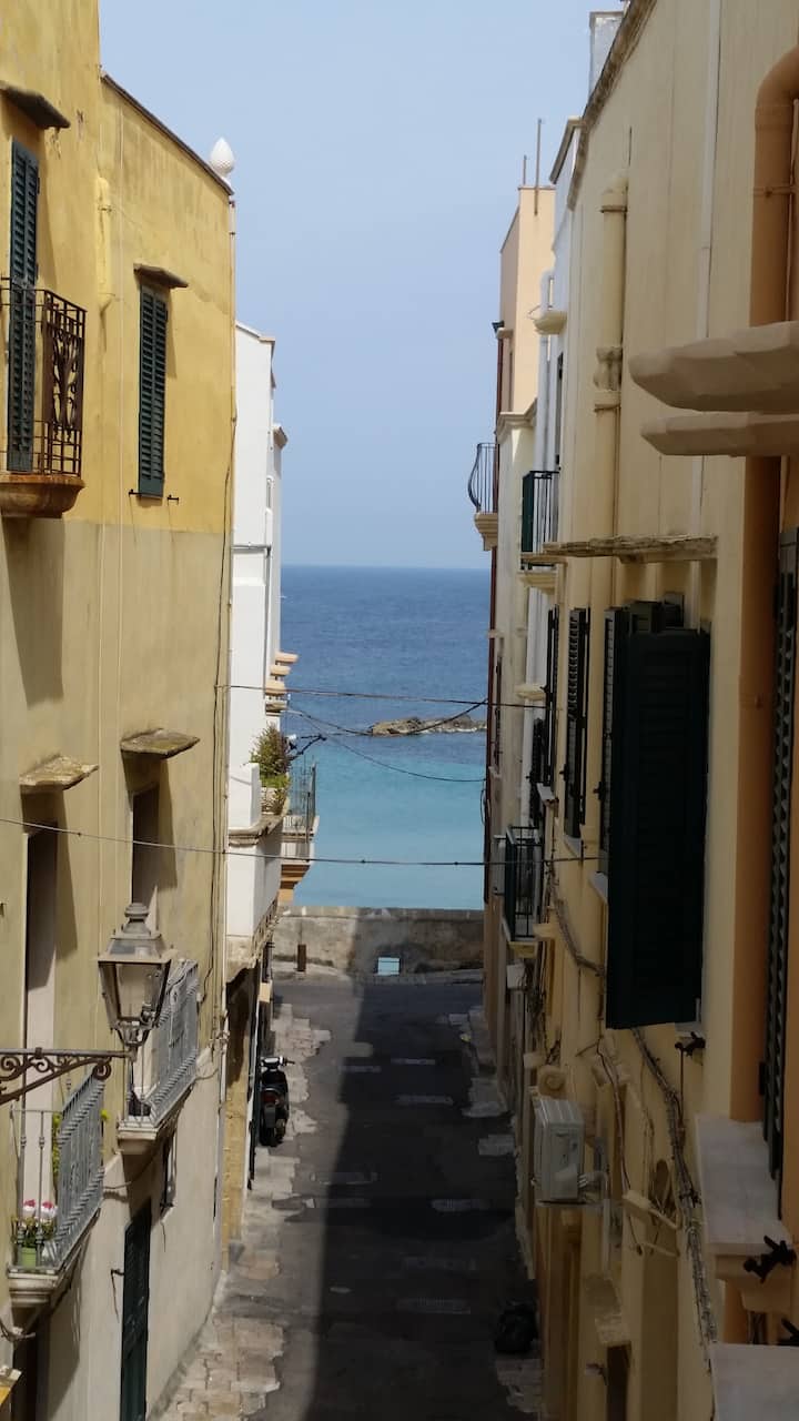 Historic First Floor Apartment - Pouilles