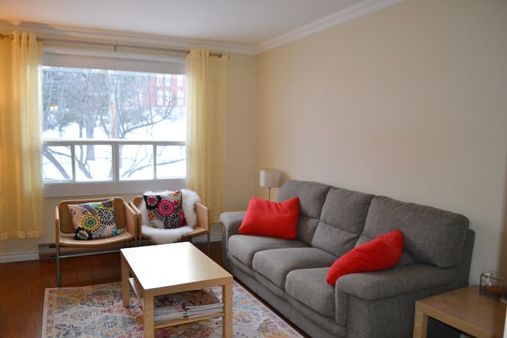 Appartement Coloré 2 Chambres Dans Le Vieux-nord - Sherbrooke