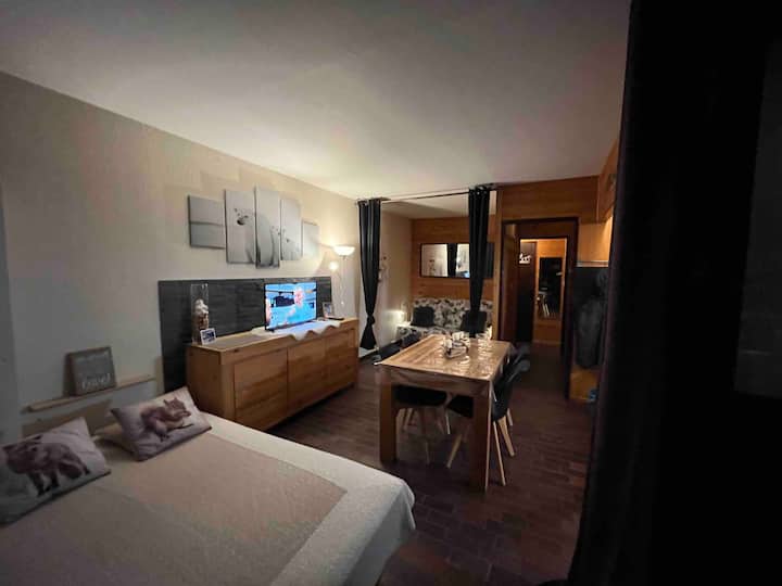 Flocon De Neige Chaleureux Studio 32 M2 Classé 2* - Orcières