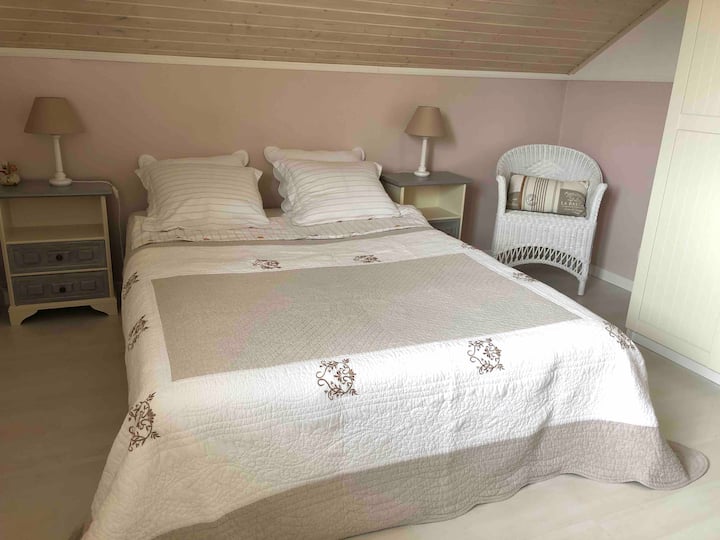 Chambre Cosy (Sdb Et Kitchenette à Partager) - Ferney-Voltaire