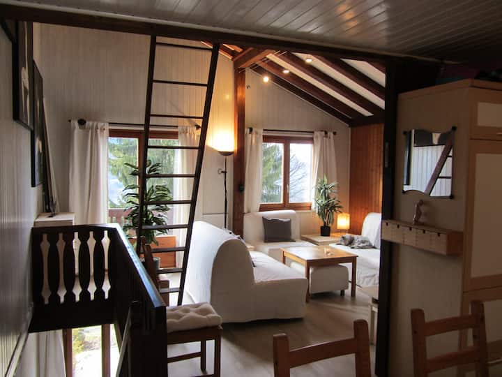 Très Joli Chalet - Les Portes du Soleil
