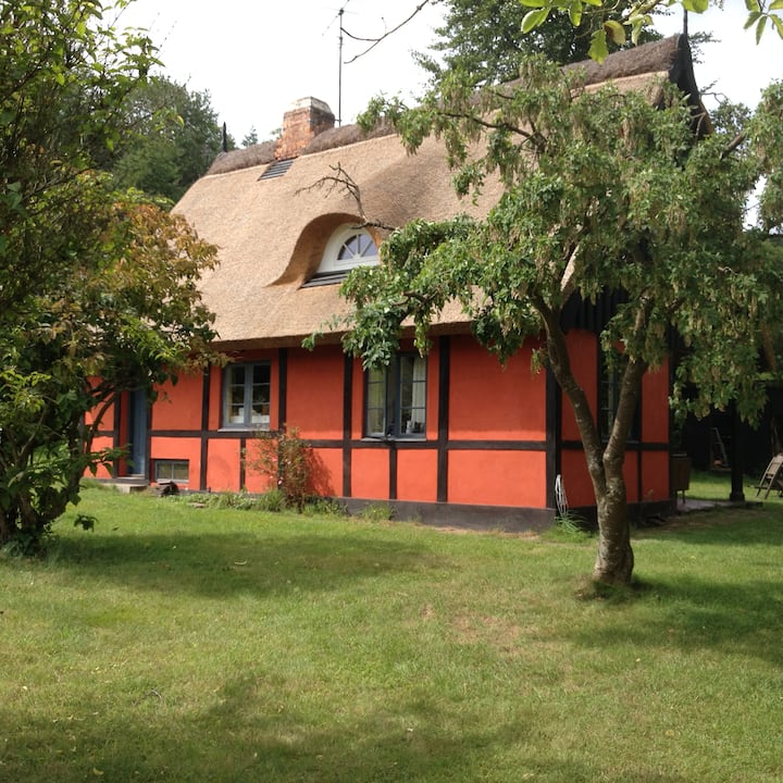 Holiday Home Bornholm With Sea View - Bornholm