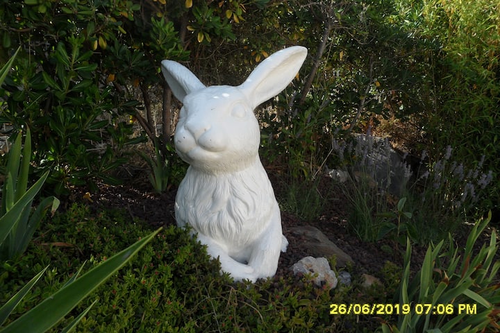 Le Grand Lapin Blanc - Saint-Pierre-la-Mer