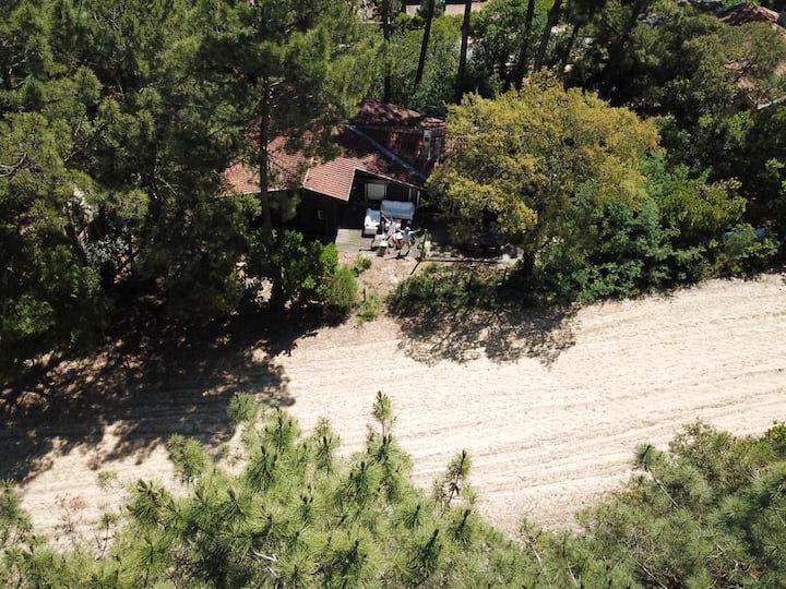 Maison Cap Ferret Très Calme - Lège-Cap-Ferret
