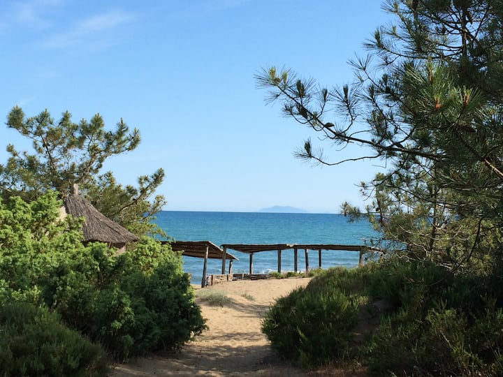 Super Sun Filled, Cozy, Airy, Green, Private Beach - Marina di Grosseto