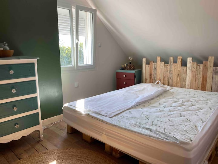 Chambre Charmante Uniquement Pour Femmes - Guingamp