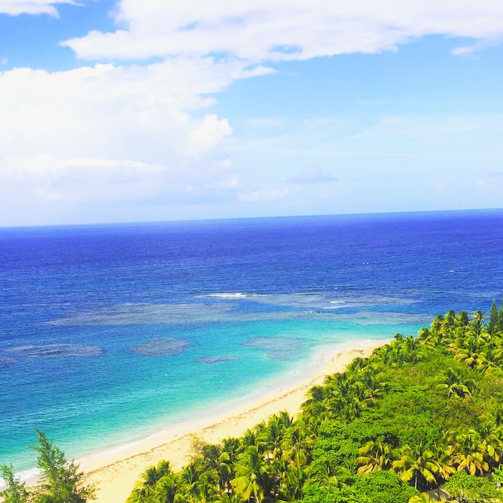 Amazing 21st Floor Beachfront Apt. - Porto Rico