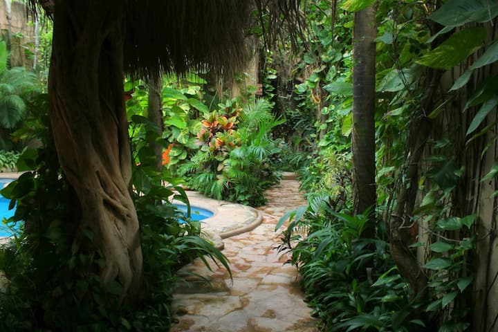 Daniandra Incredible Design House 4bedrooms, 4bath - Sayulita