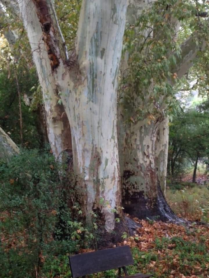 Animas Creek Labyrinth And Retreat - Caballo Lake State Park, Caballo
