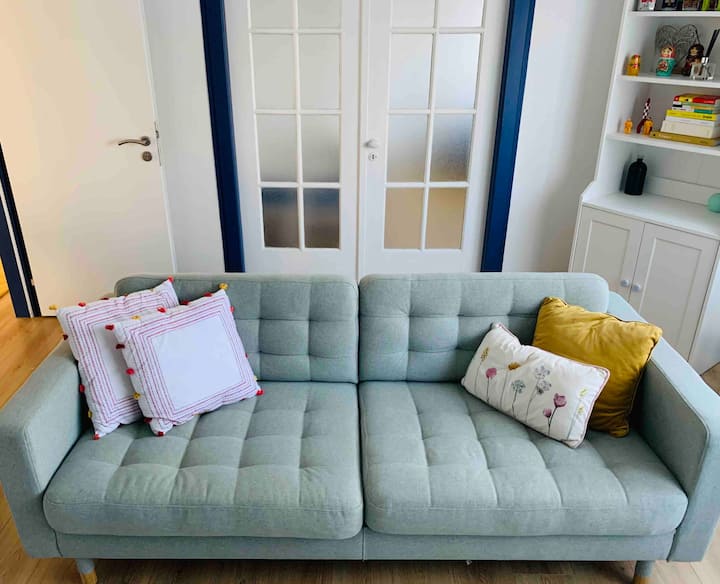 Pour Un Séjour Pro, En Famille Ou Entre Copain ! - Strasburgo