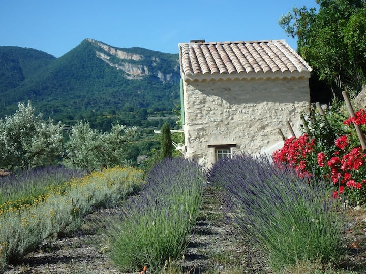 Cabanon Provençal à Nyons - Nyons