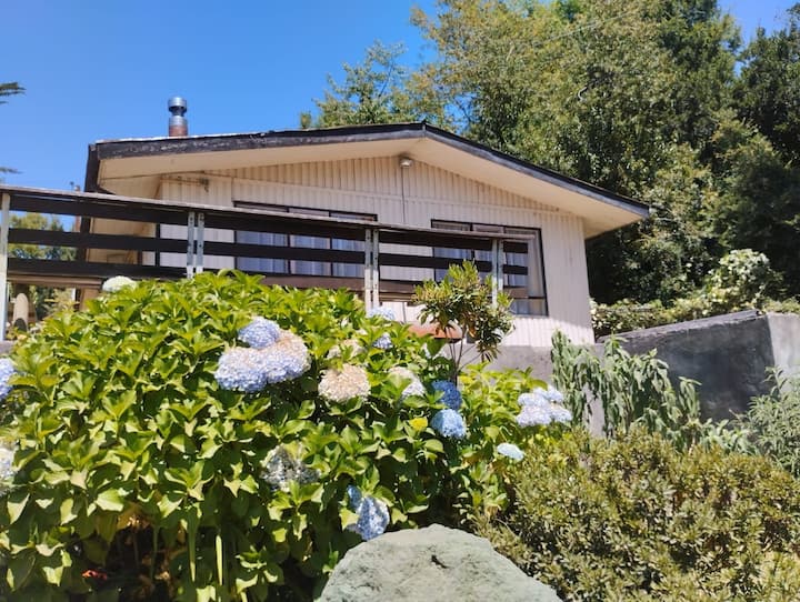 Cabaña En Pucón - Pucon