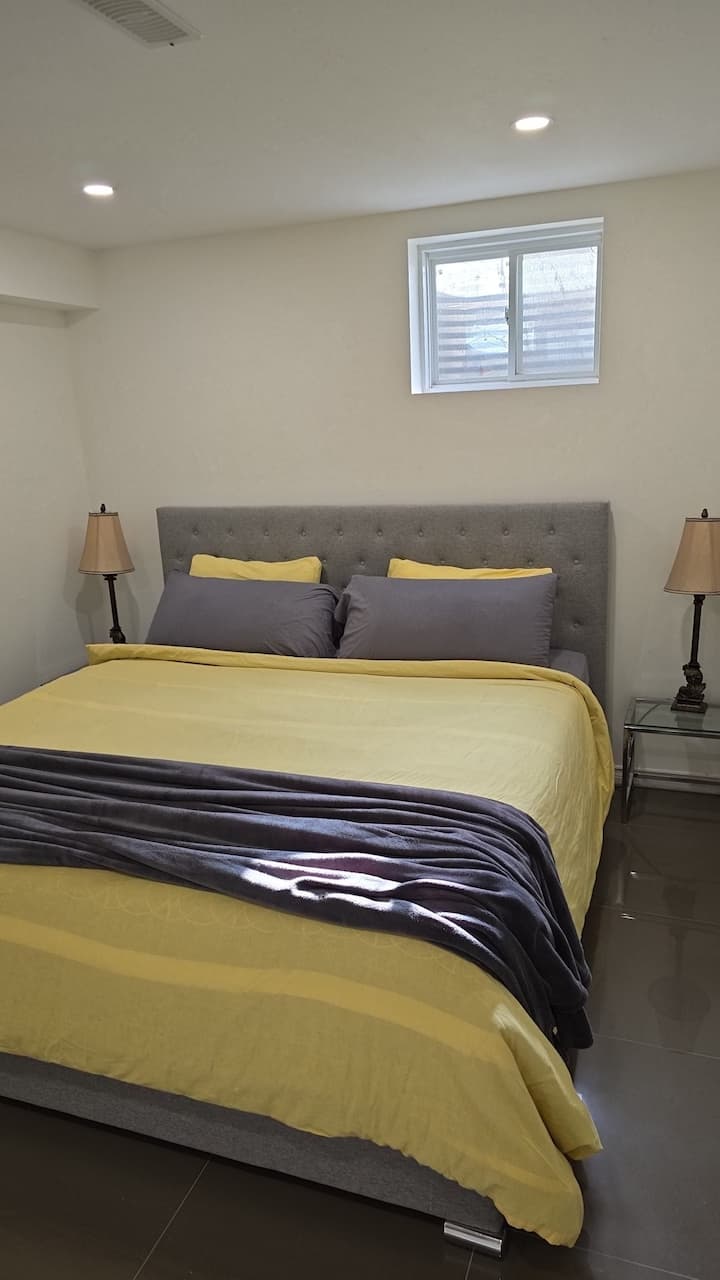 Basement Has Unique Furniture - Oakville