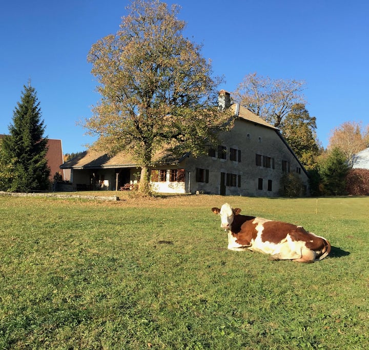 L'annexe Appart-hôtel Du Haut Doubs,  4 éPis - Les Fourgs