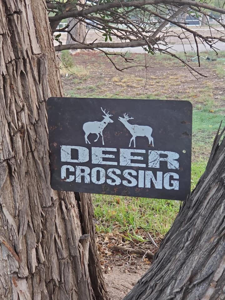 Deer Crossing - 