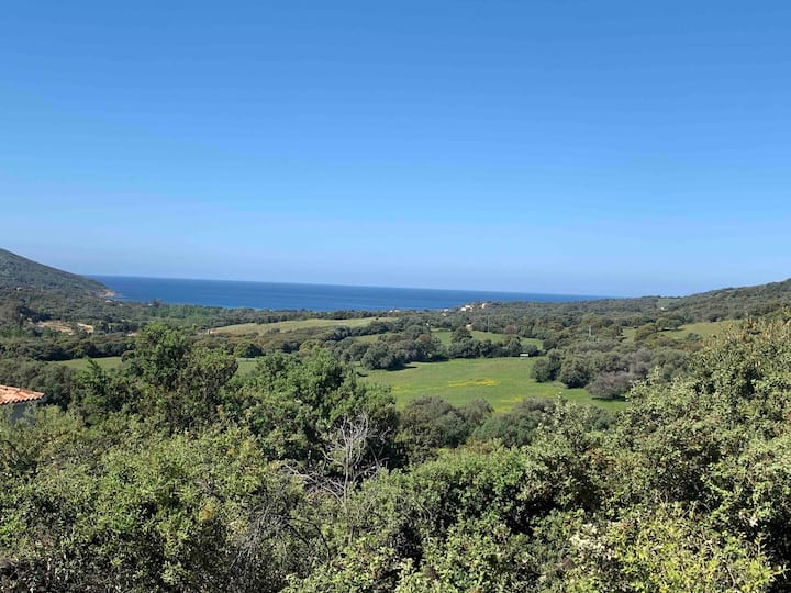 Villa Entre Oliviers Et Mer Avec Vue Fantastique ! - Cargèse