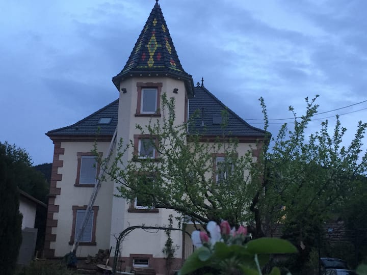 Appart. Au Petit Château - Schirmeck