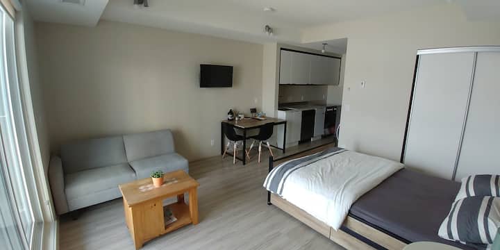 Downtown BnBnB - The Nice Studio - Condominiums for Rent in Kelowna ...