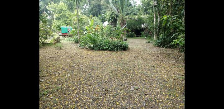 Eco Center - Garden & Plant Paradise Hospitality. - Puerto Maldonado