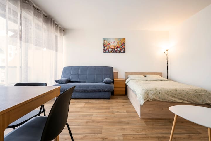 Studio, Centre-ville, Ge 5km - Gaillard