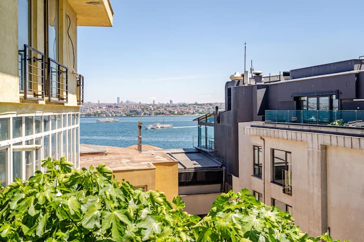 1+1 Lux Apartment With Bosphorus View In Cihangir - Cihangir