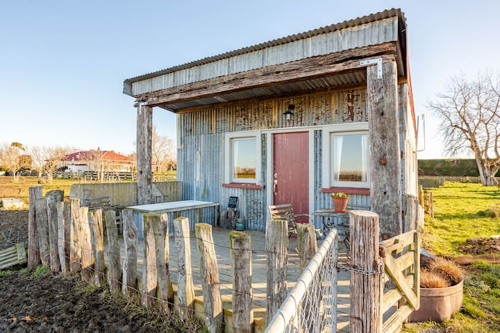 Old Farm Hut, Near Winton , Central Southland - Winton