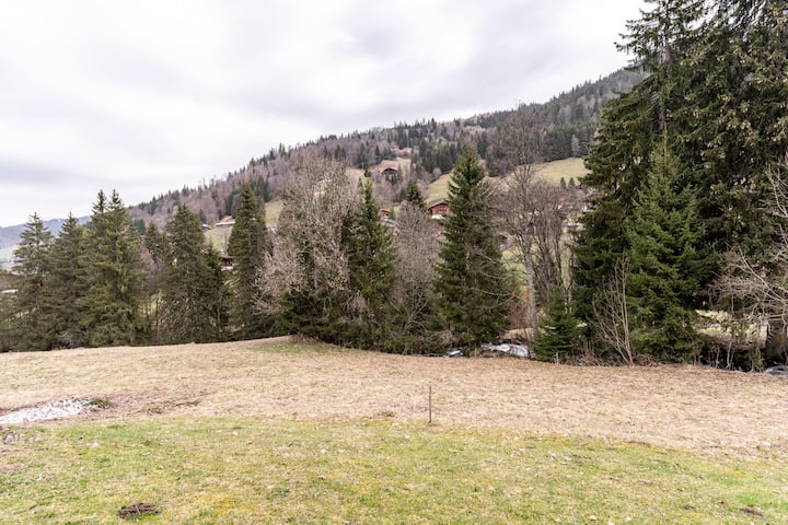 Studio Avec Parking Au Pied Des Pistes - La Clusaz