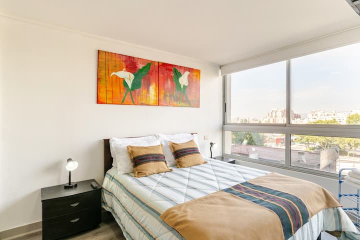 Departamento Santiago Centro - Cile