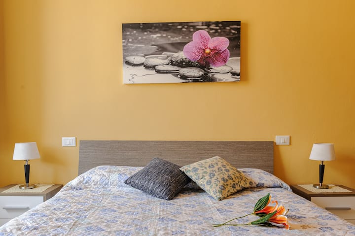 Casa Giara
(E Il Nuovo Salotto) - Lucca