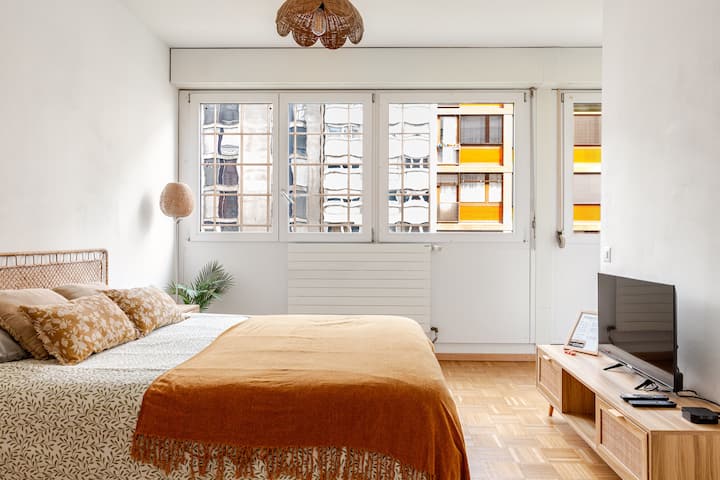 Apartment Next To Cornavin/lake - Ginebra