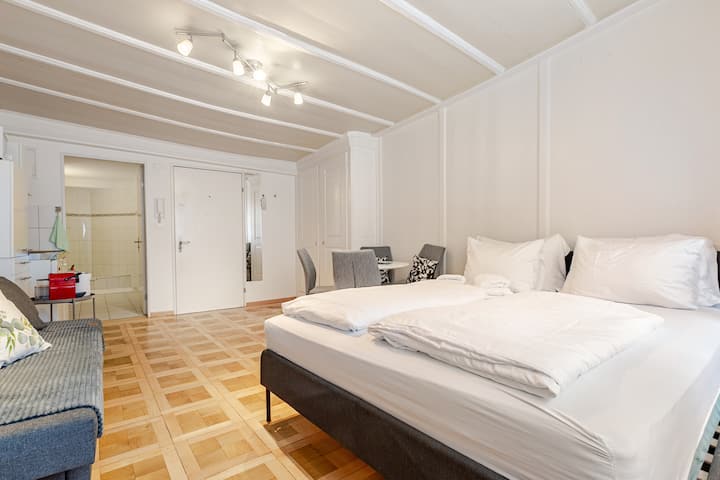 In The Heart Of Zurich – Comfort & Connection - Zurigo