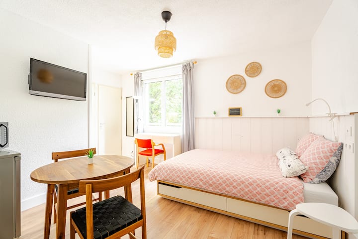 Studio Elie: Gare, Polygone Scientifique, Quais - Grenoble