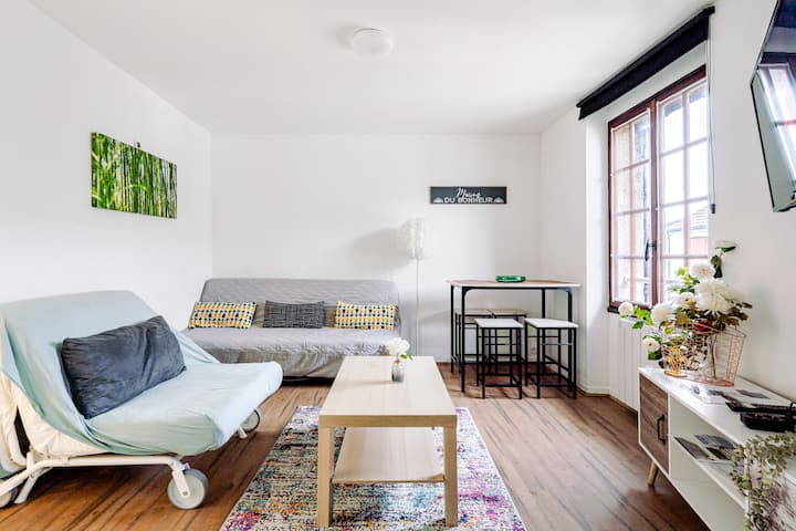 Grand Appart 38m2, Cdg Aéroport, Disneyland Paris. - Mitry-Mory