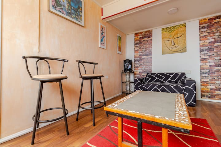 Vista - Viña del Mar