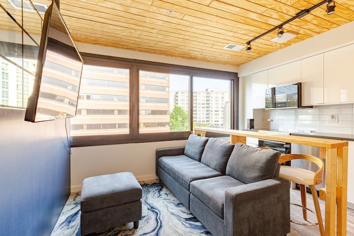 City View Studio In Downtown Silver Spring - Silver Spring