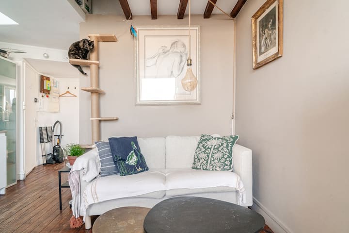 Charmant Appartement Parisien Sous Les Toits - Paris