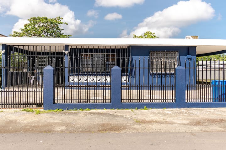 The Blue Wave At Vega Baja - Manatí