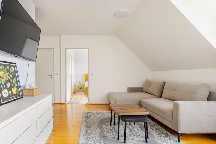 Top Floor Apartment Near Palace Schönbrunn - Vienna