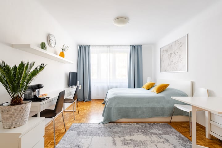 Cool Viennese Apartment - Vienna