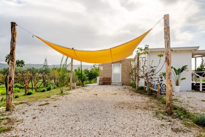 Camping Cilento : Wi-fi, Douche Chaude, Mer - Ascea