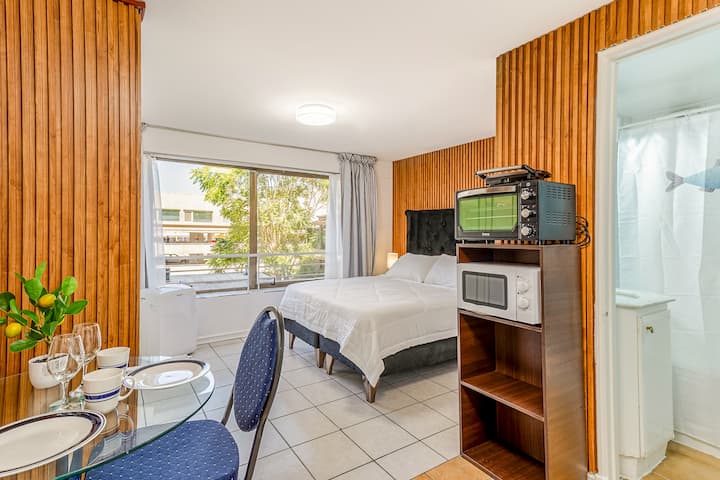 Luxury Providencia Suite - Providencia