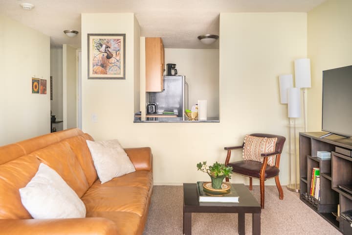 Lux Furnished Condo With A+++ View In River North - Chicago, IL