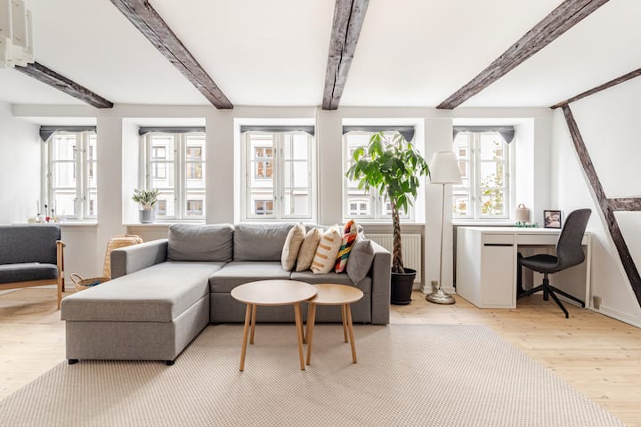 Spacious Apartment In Inner City - Copenhagen