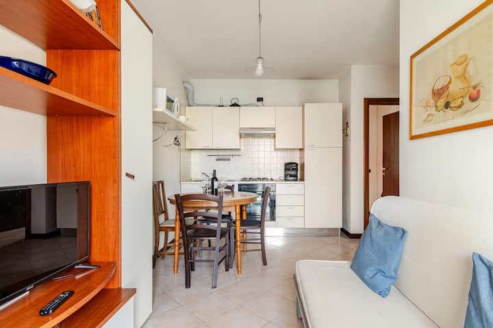 Cremona Stadium & Culture - Cremona